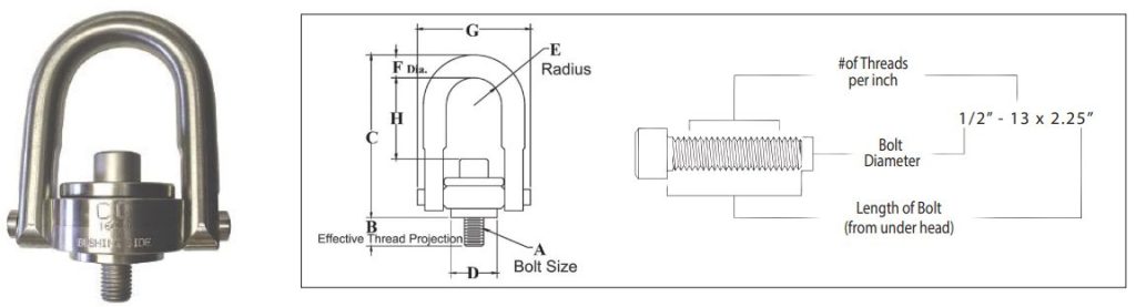 SS Hoist Ring - Brevard Rigging